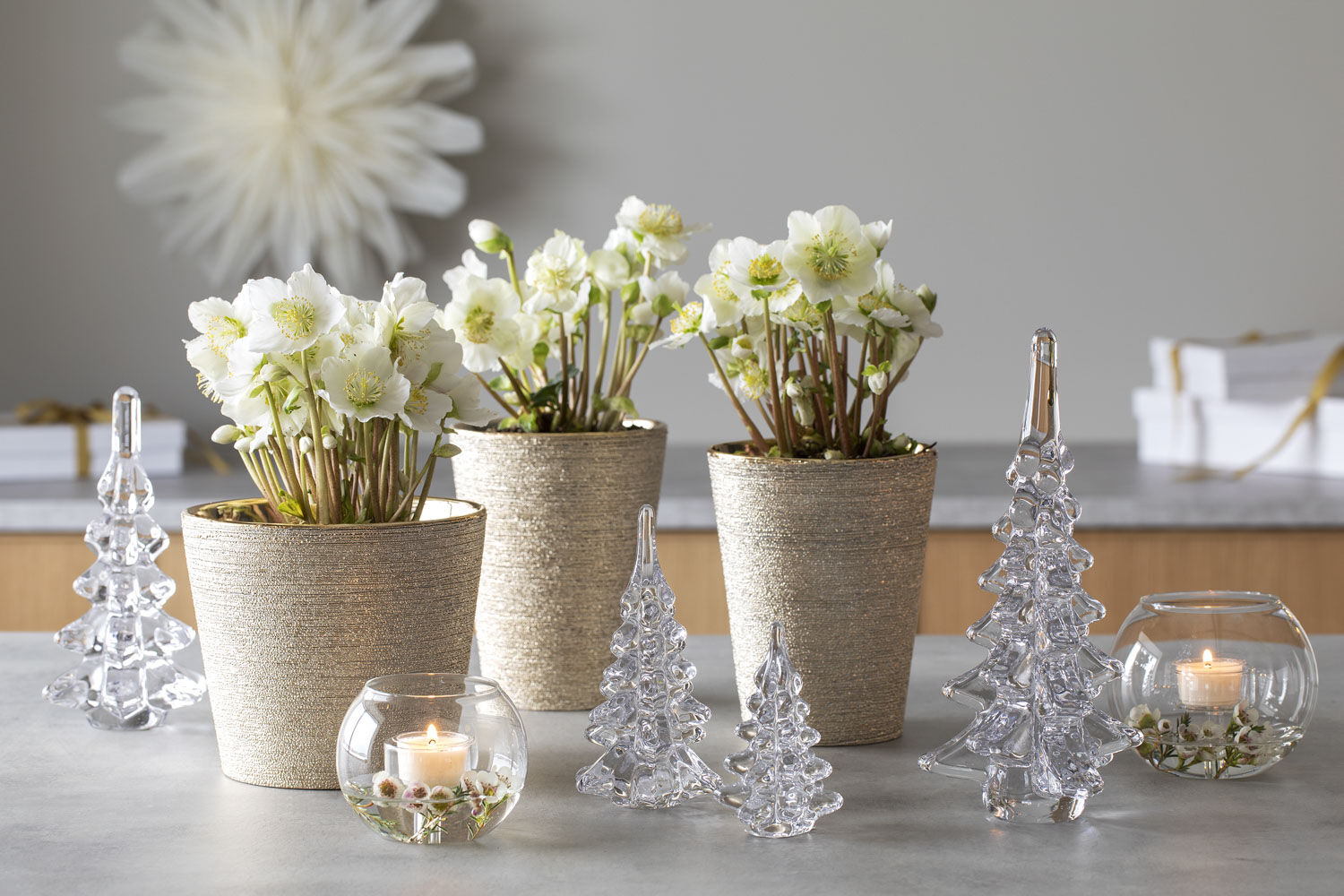 Allergivennlige juleblomster