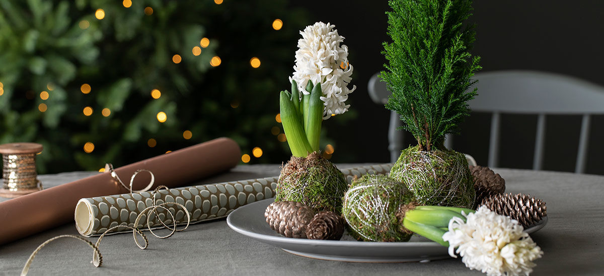 DIY: Pynt svibler og vintergrønt med mose