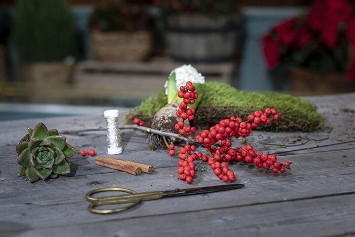 DIY: Pynt svibler og vintergrønt med mose | Mester Grønn