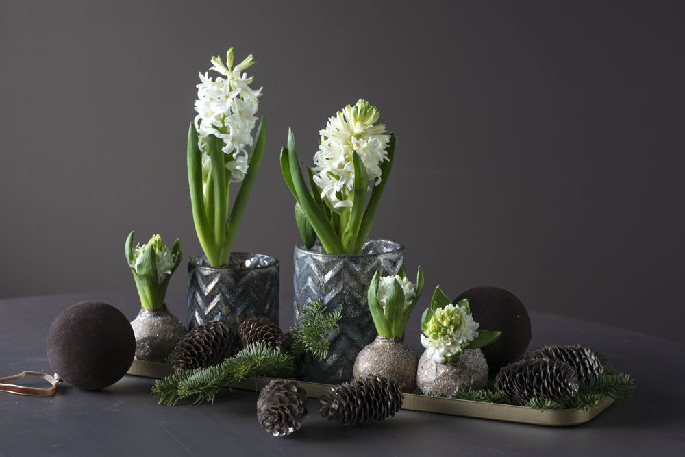 Pynt opp med allergivennlige blomster og planter - Mester Grønn