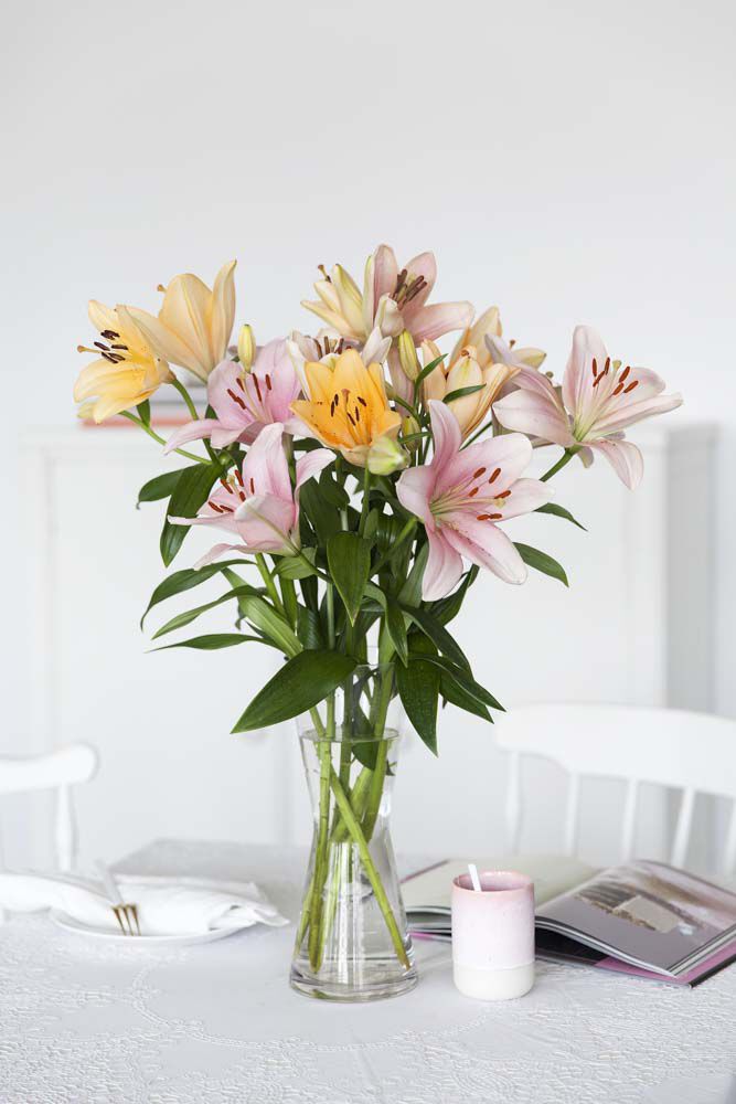 Se sesongens vakreste snittblomster | Mester Grønn