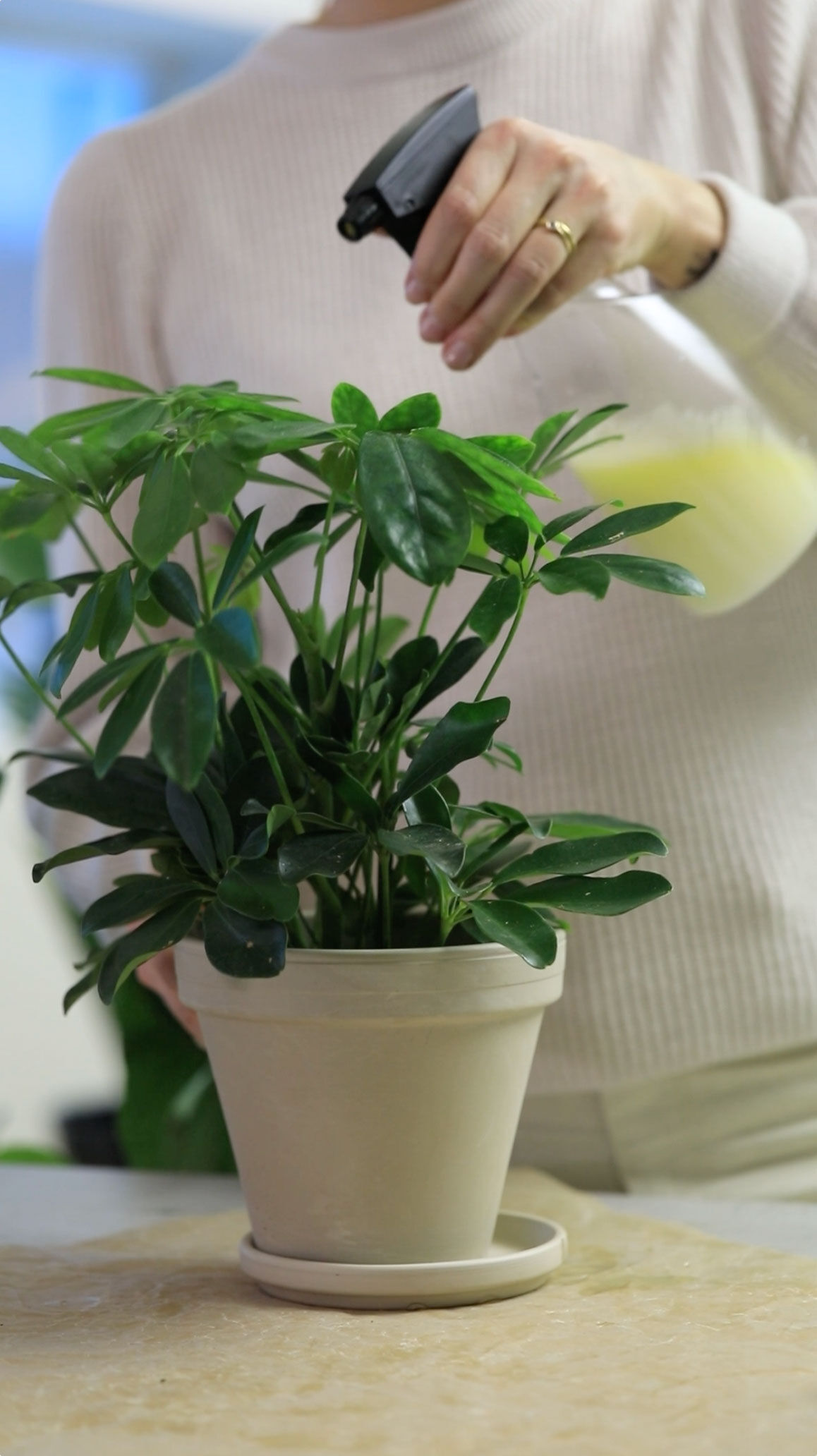 Trips - slik blir du kvitt dem - Mester Grønn