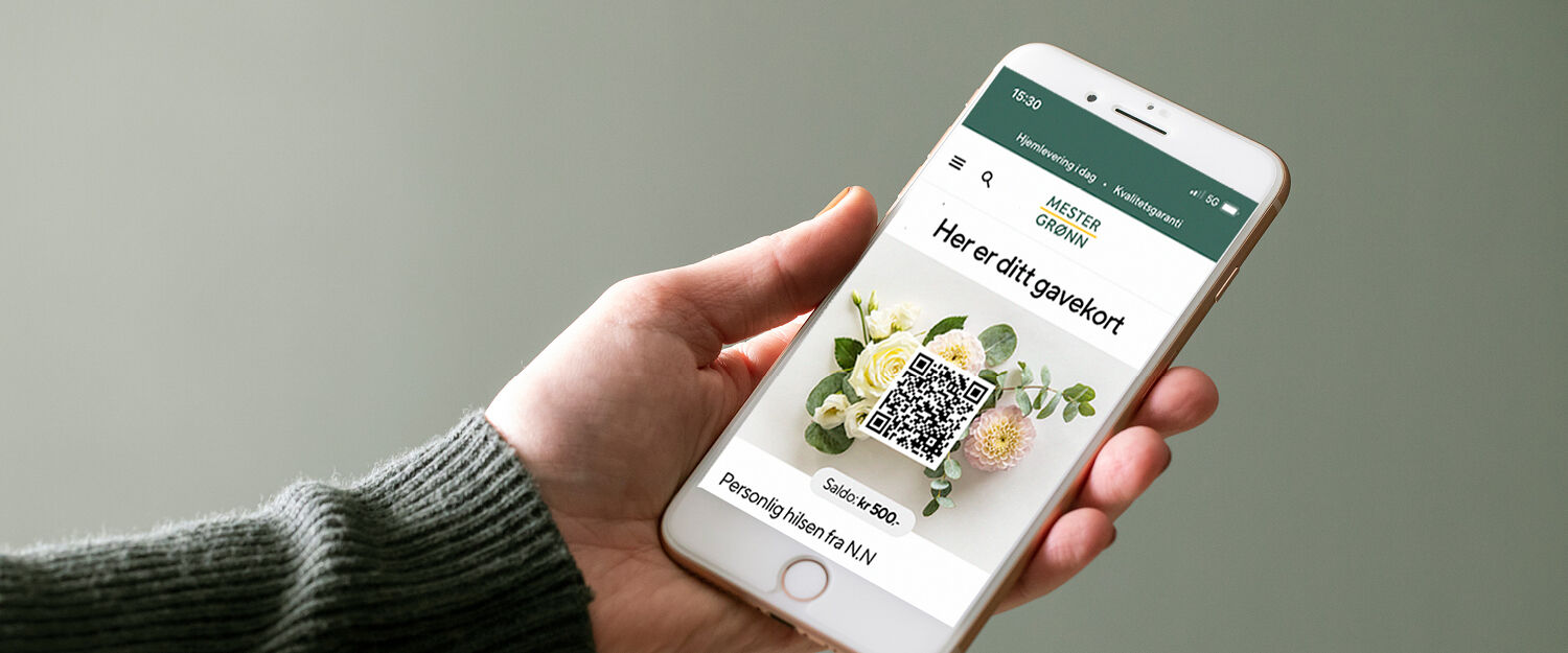 Velg digitalt gavekort som gave til de ansatte - Mester Grønn