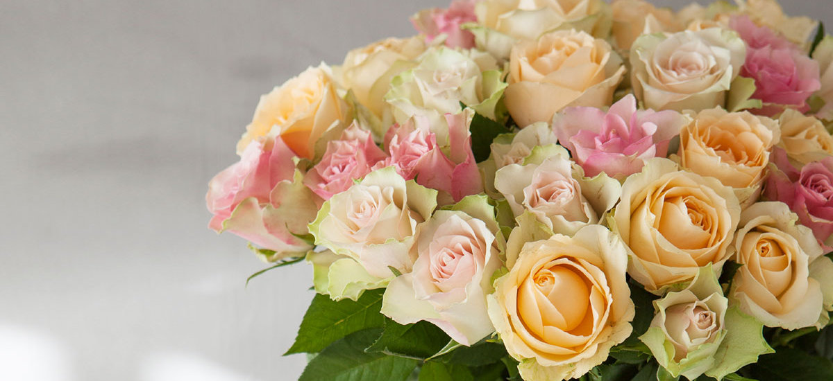 Derfor har vi de ferskeste rosene | Mester Grønn