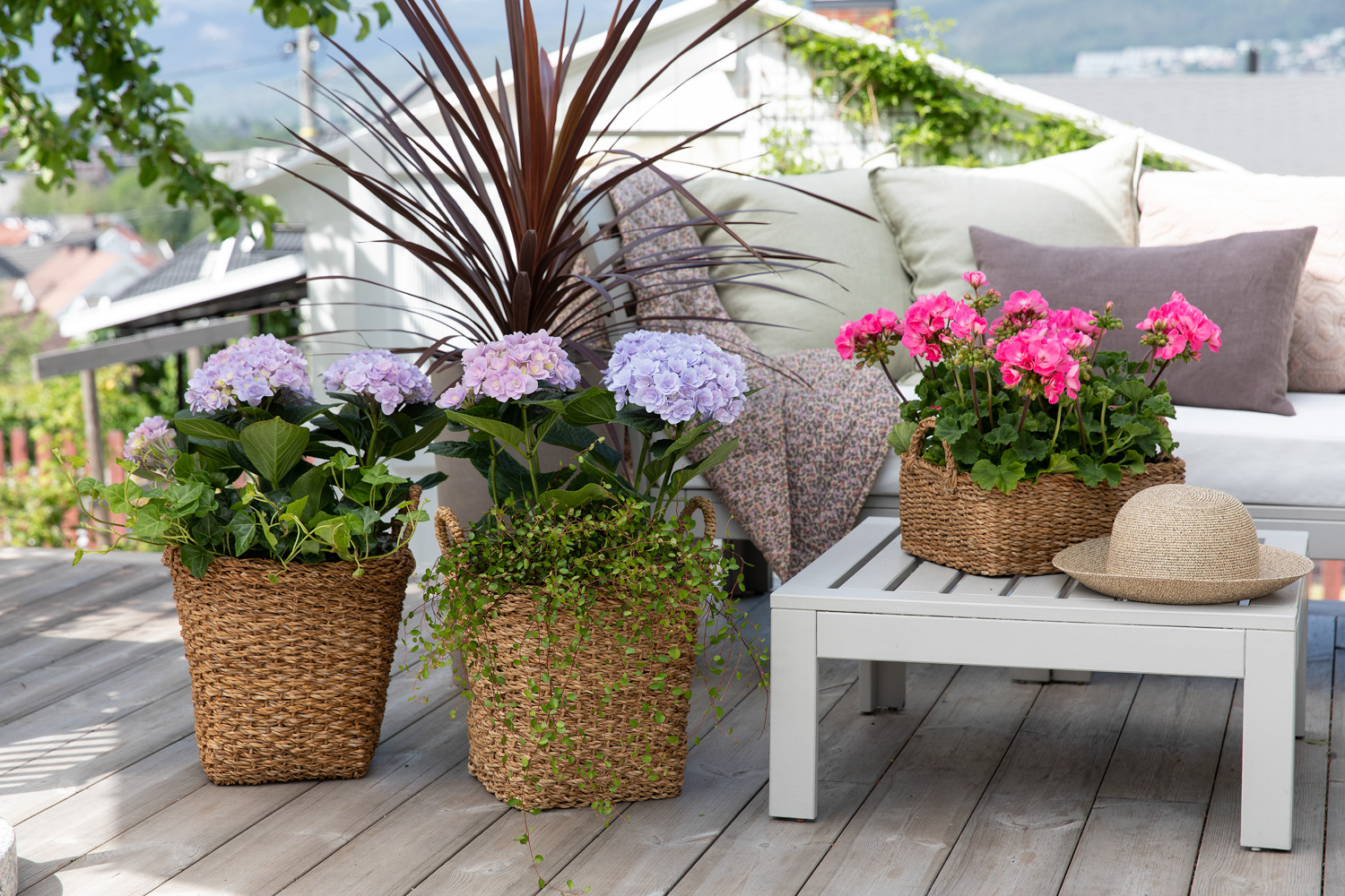 Hageinspirasjon - skap en drømmehage med blomster og planter - Mester Grønn