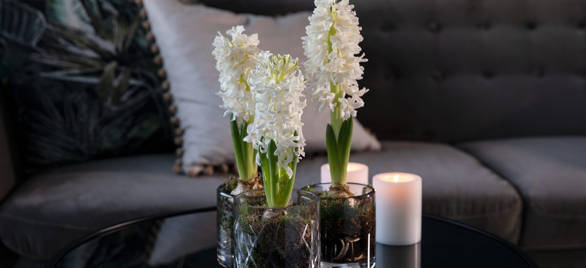 Slik steller du svibler