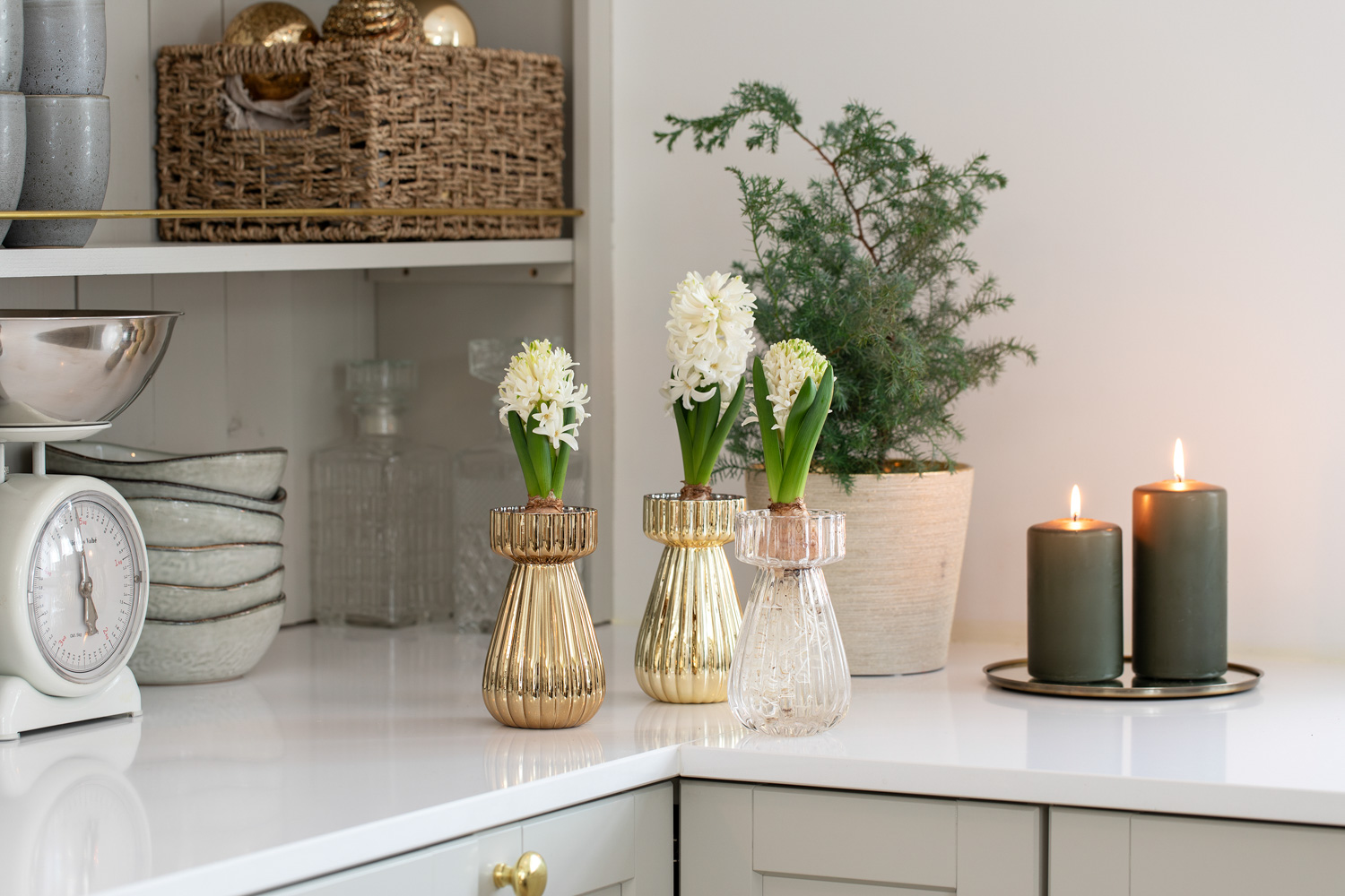 Slik pynter du med svibel- og amaryllisløk - Mester Grønn