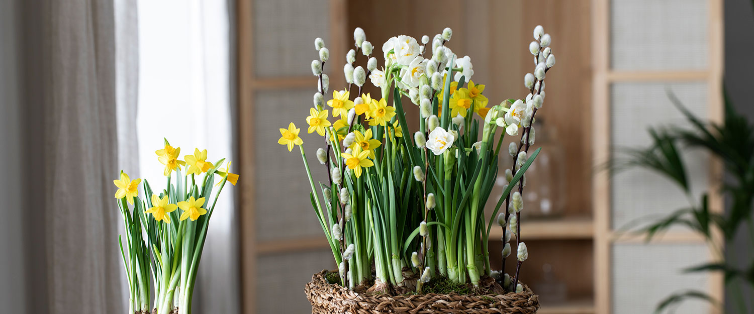 DIY: 5 ideer til hjemmelaget påskepynt - Mester Grønn