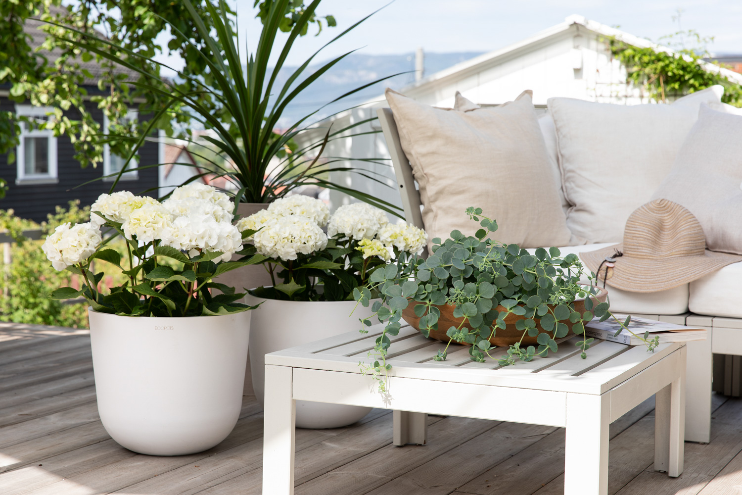 Hageinspirasjon - skap en drømmehage med blomster og planter - Mester Grønn