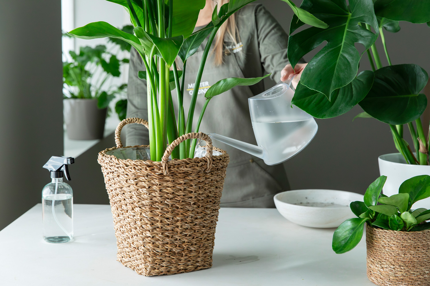 Hvor mye vann trenger egentlig grønne planter? - Mester Grønn