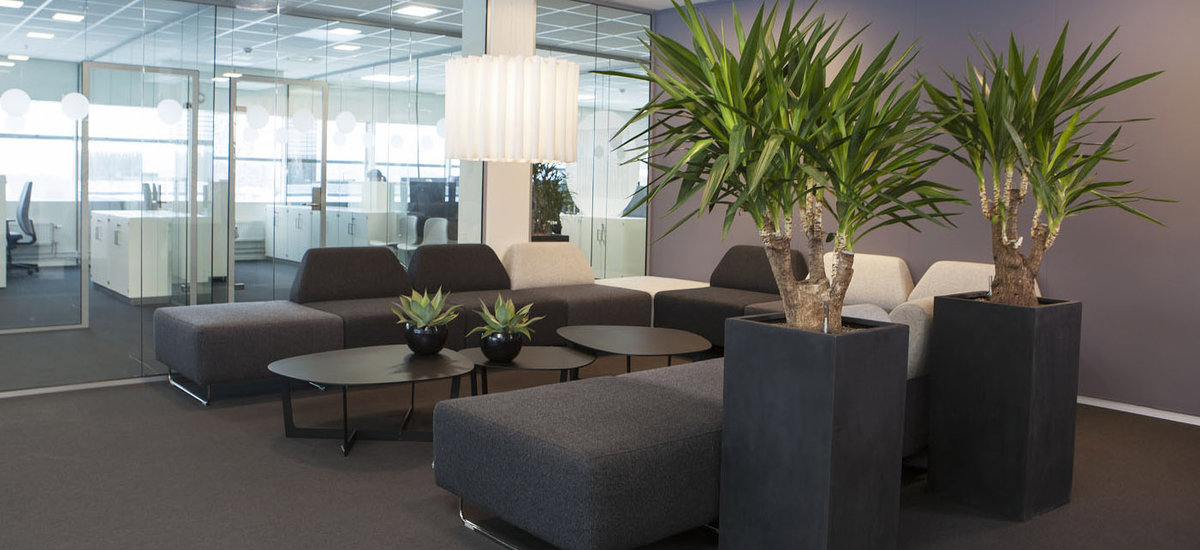 Grønne planter på kontoret kan gjøre deg mer effektiv | Mester Grønn