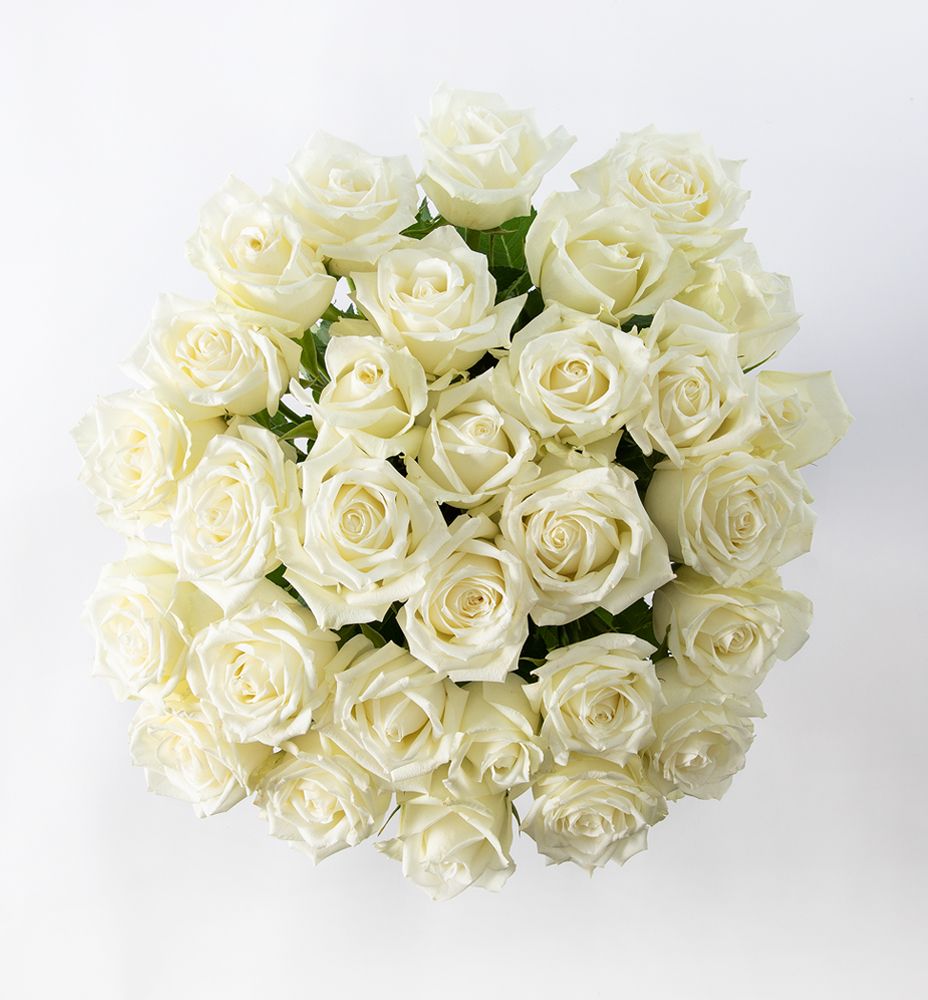 Bestill 30 hvite roser | Mester Grønn
