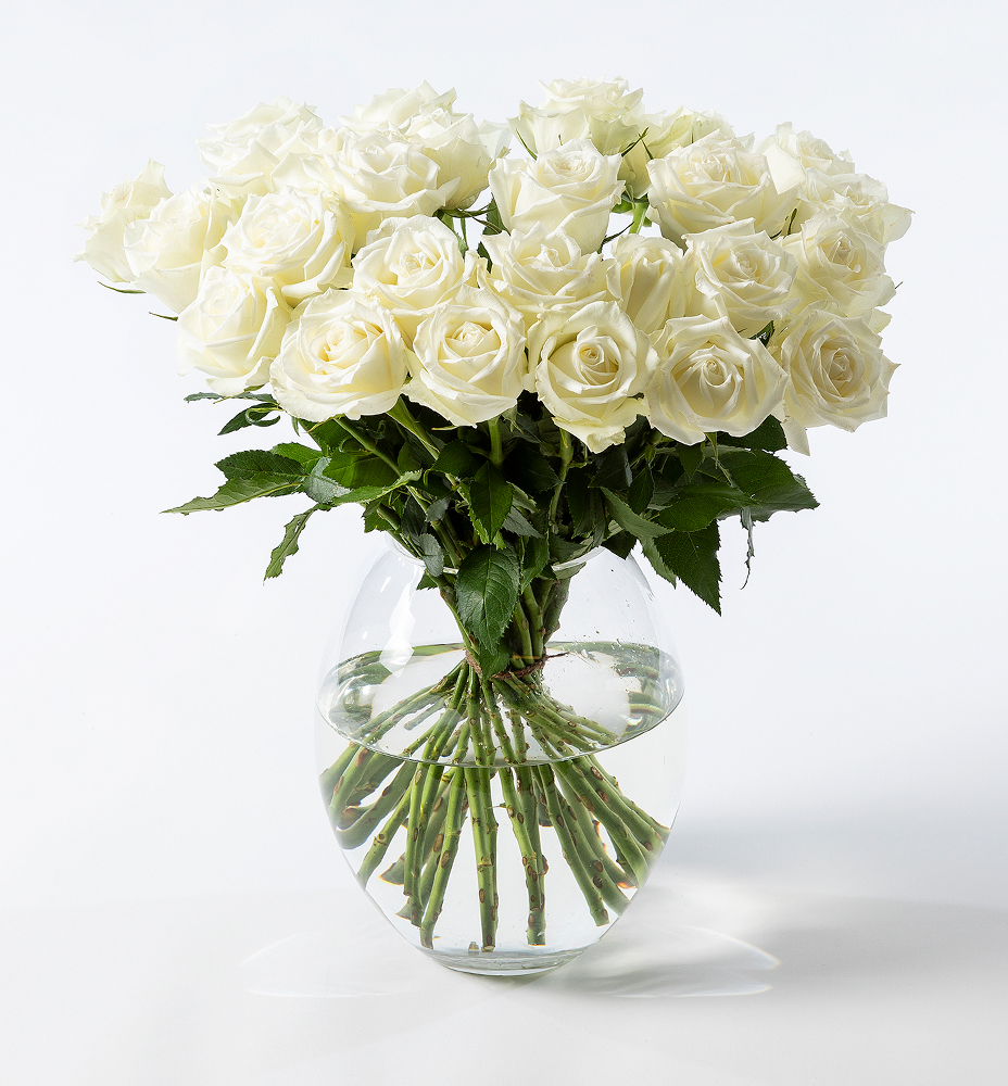 Bestill 30 hvite roser | Mester Grønn