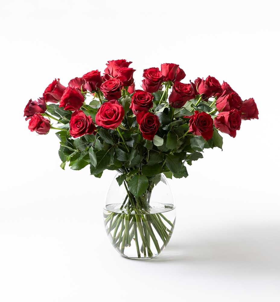 Bestill 30 langstilkete røde roser | Mester Grønn