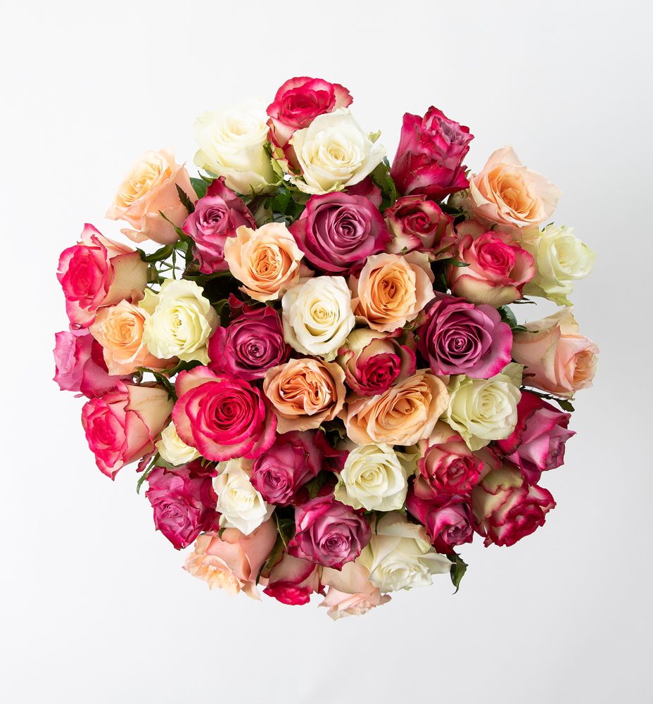 Bestill 40 Fairtrade roser miksfarger | Mester Grønn
