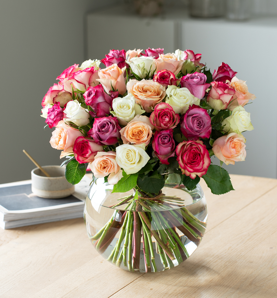 Bestill 40 Fairtrade roser miksfarger | Mester Grønn