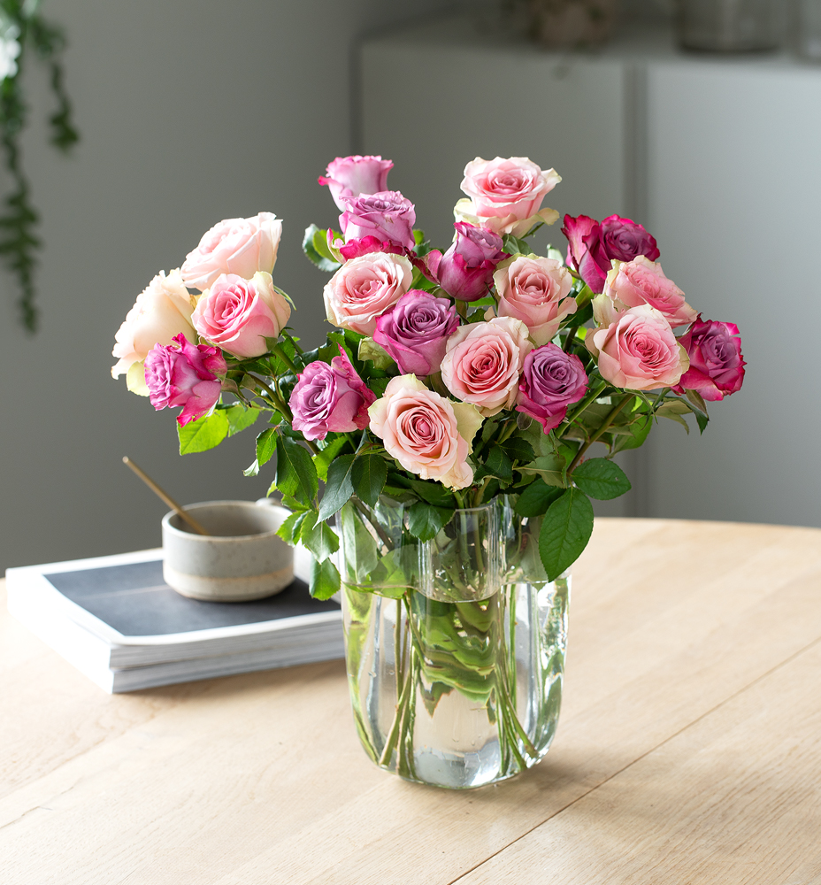 Bestill 20 Fairtrade roser miksfarger | Mester Grønn