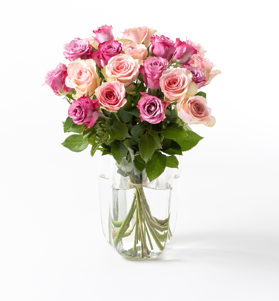 Bestill 20 Fairtrade roser miksfarger - Mester Grønn