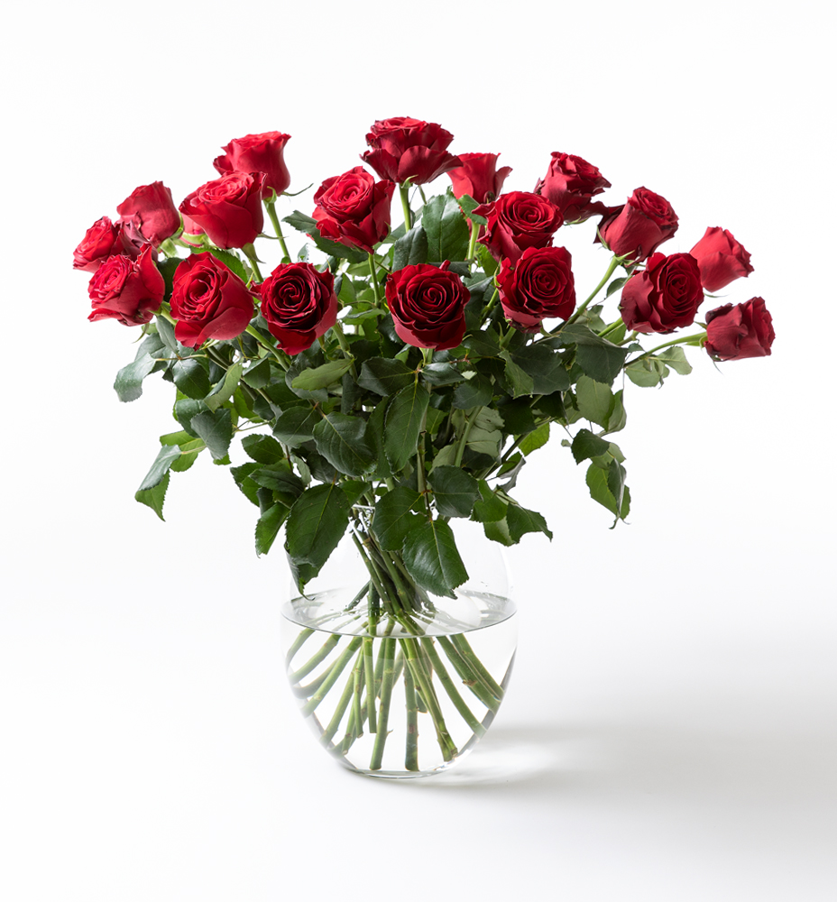 Bestill 20 langstilkete røde roser - Mester Grønn