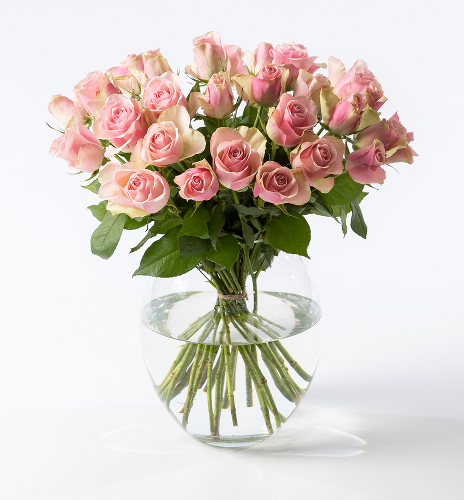 Bestill 30 rosa roser - Mester Grønn