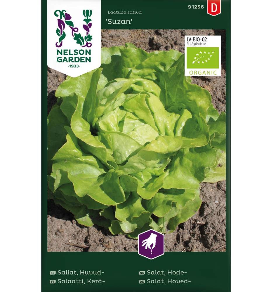 Bestill Frø Salat Hode Suzan Organic - Mester Grønn